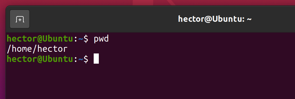 Introducción a Linux para Bioinformática - 2 Linux